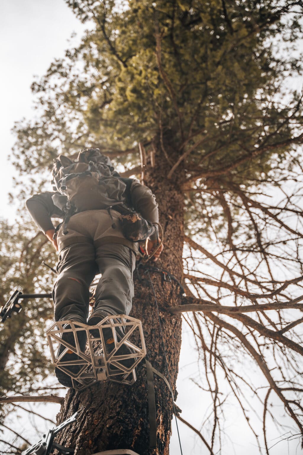 The Seeker | CRUZR SADDLES